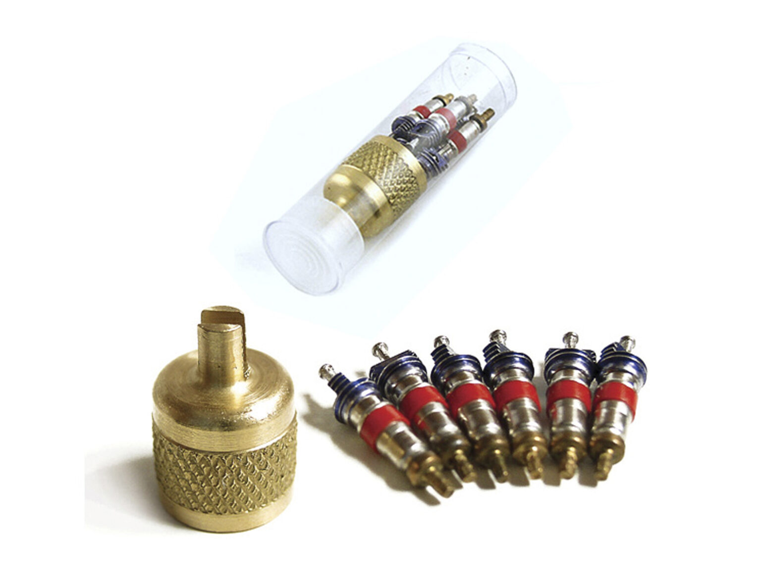 AVS1V Valve Core and SAE Brass Cap Kit in Plastic Vial - CPS Products ...